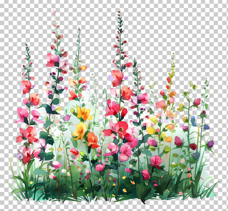 Snapdragon Field Background - Colorful Garden Flowers PNG, Clipart ...