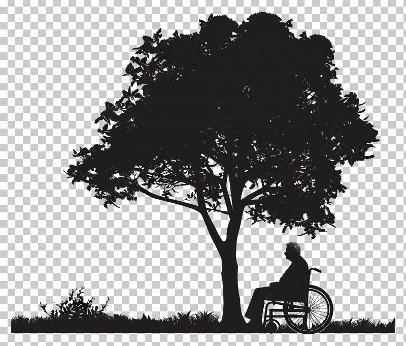 World Elder Abuse Awareness Day - Silhouette Of A Wheelchair User ...