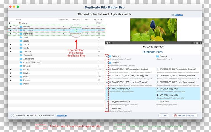 Computer Program Finder Operating Systems PNG, Clipart, Area, Brand, Computer, Computer Monitor ...