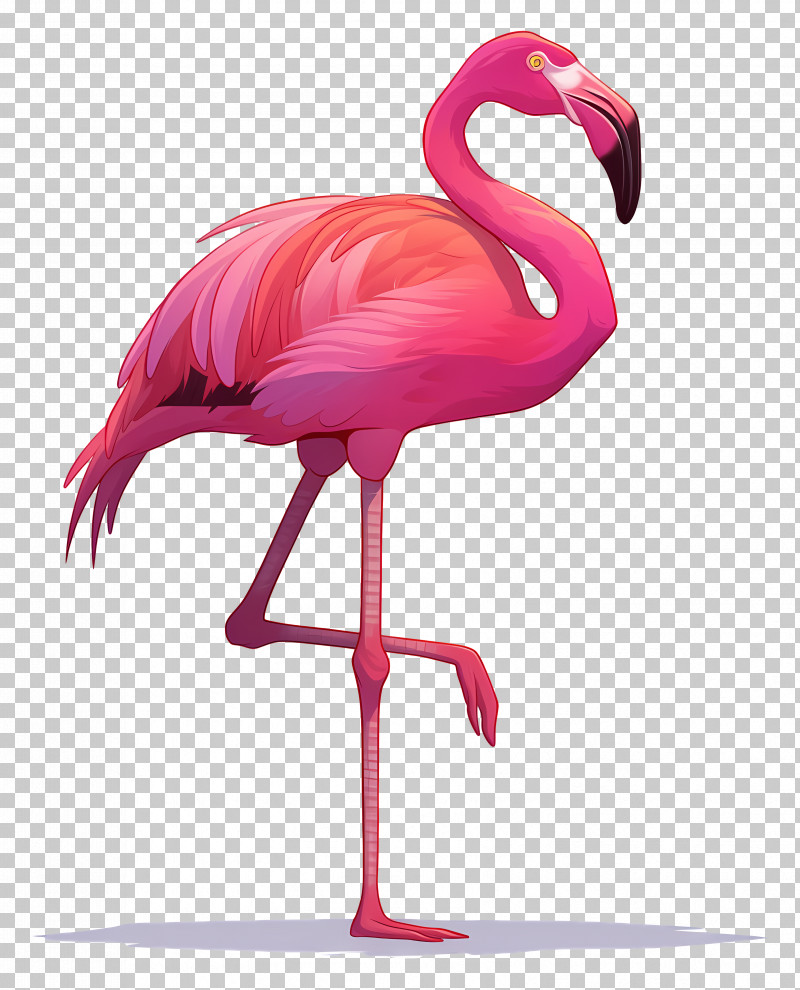 Cute Pink Flamingo - Graceful Pink Flamingo Standing PNG, Clipart, Cute ...