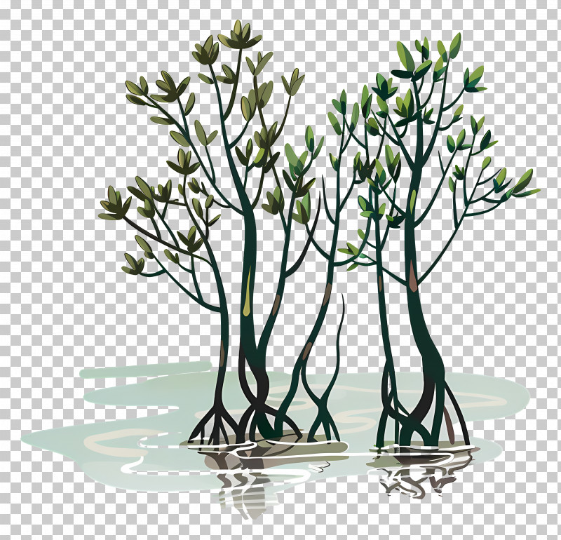 Mangroves - Mangrove Trees In Water PNG, Clipart, Coastal, Ecosystem ...