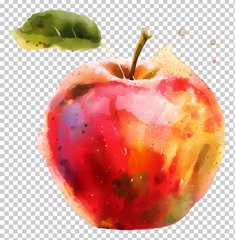 Apple - Red Watercolor Apple Illustration PNG, Clipart, Apple, Artistic ...