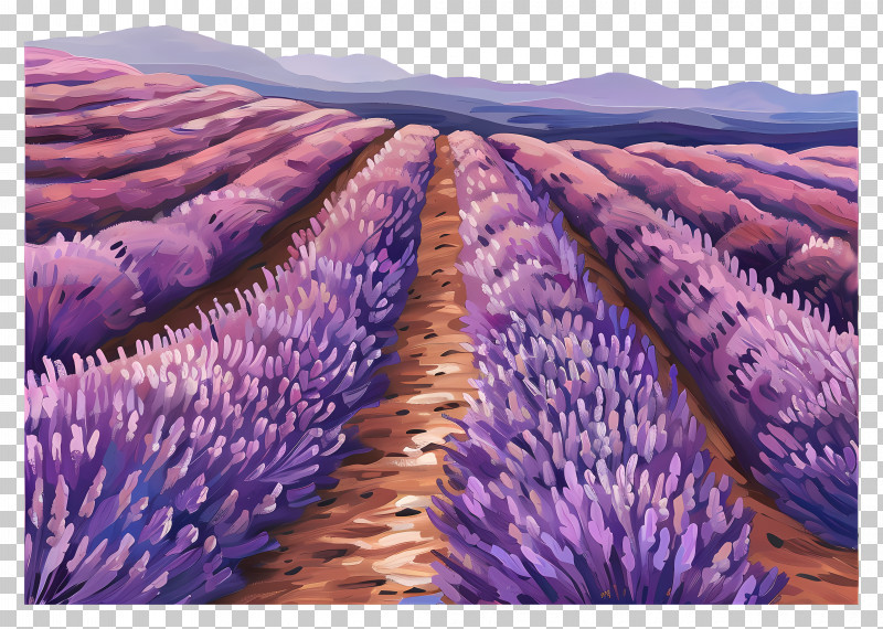 Lavender Fields - Lavender Field Stretching Into The Horizon PNG ...