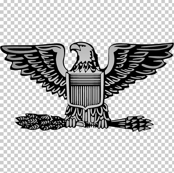 United States Navy Military Rank Captain Colonel PNG Clipart Air United States Navy Military Rank Captain Colonel PNG Clipart Air