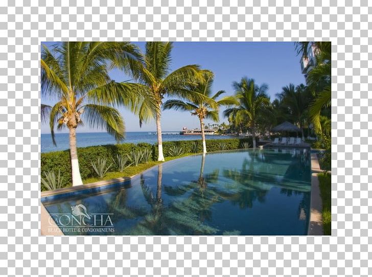 Seaside Resort Pichilingue Beach Swimming Pool PNG, Clipart, Arecaceae ...