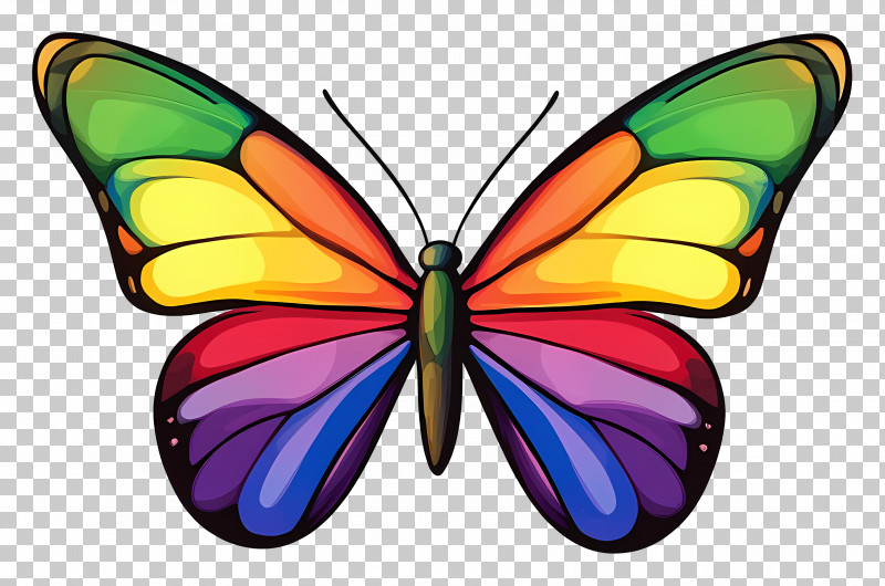 Rainbow Butterfly - Colorful Butterfly With Rainbow Wings PNG, Clipart ...