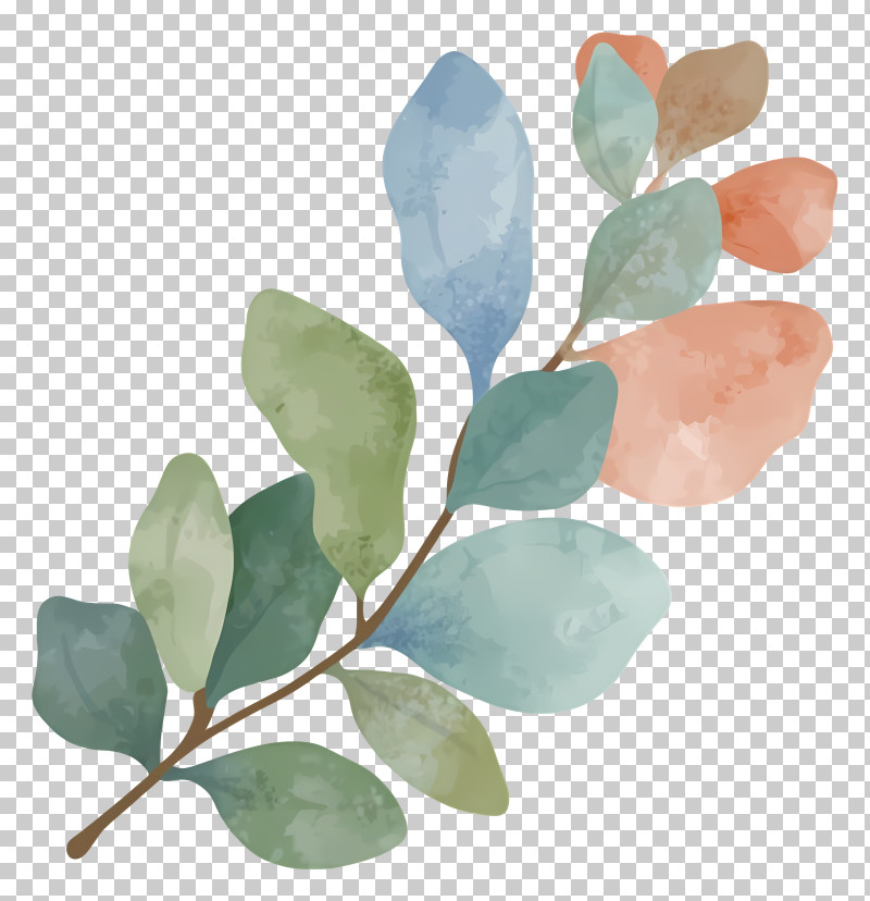 Branch - Watercolor Floral Branch Illustration PNG, Clipart, Aesthetic ...