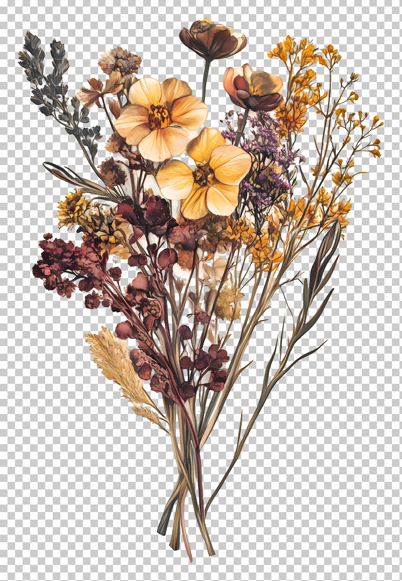 Dried Flower Art - Earthy Toned Wildflower Bouquet PNG, Clipart ...