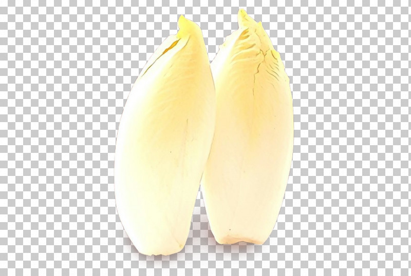 Yellow Plant Endive Vegetable PNG, Clipart, Endive, Plant, Vegetable ...