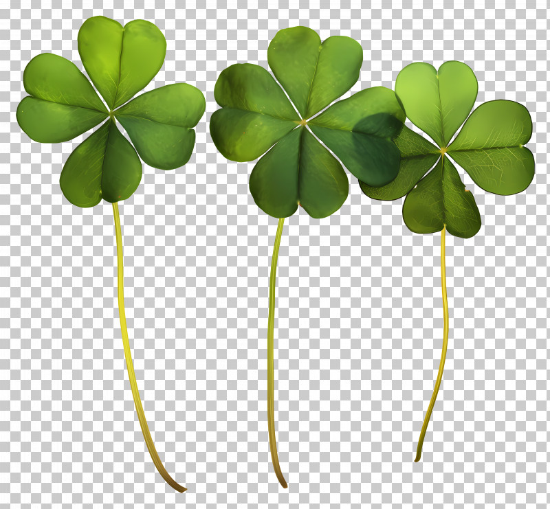 Clover Leaves - Three Clover Leaves In Green PNG, Clipart, Botanical ...