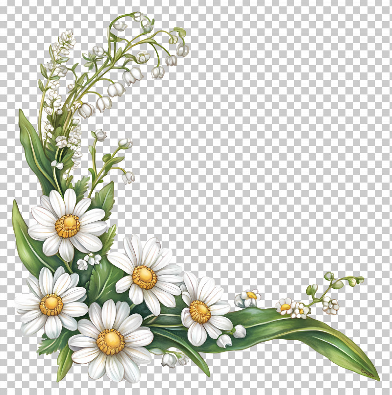 Spring Flower - Floral Corner With Daisies PNG, Clipart, Corner ...