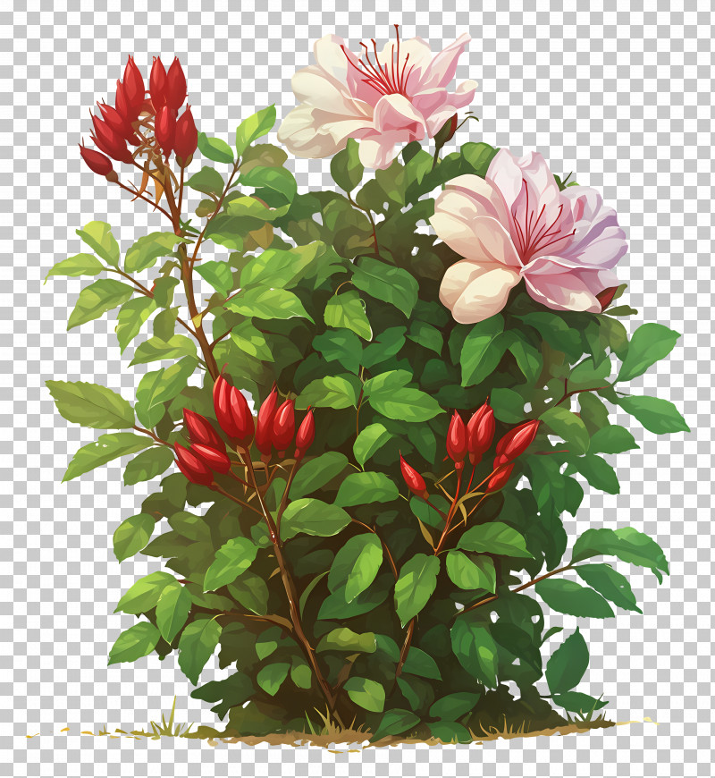 Flower Bush - Illustration Of A Flower Bush PNG, Clipart, Beauty ...