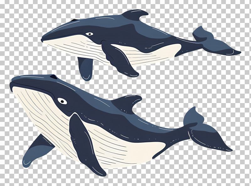Cute Whale - Illustration Of Two Whales Swimming PNG, Clipart, Aquatic ...