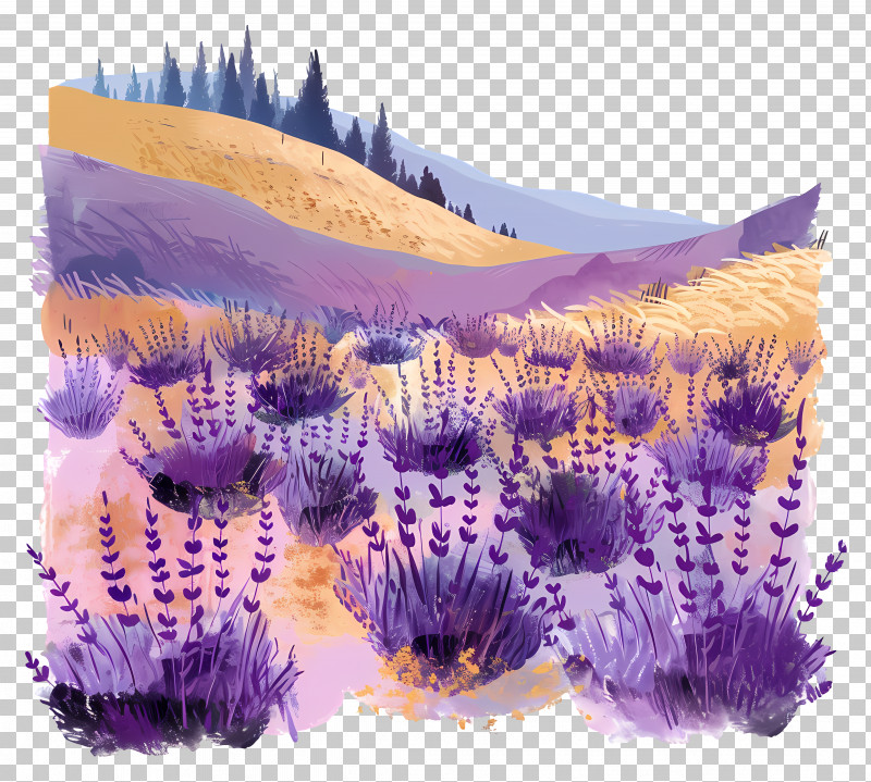 Lavender Fields - Beautiful Lavender Field With Mountains PNG, Clipart ...
