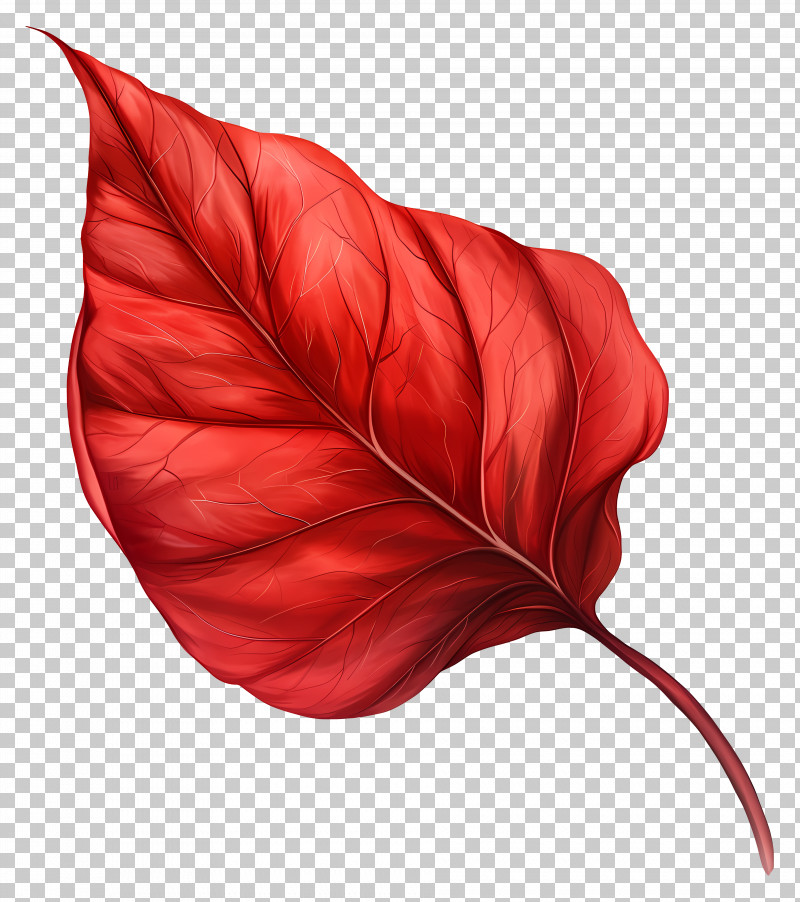 Red Leaf - Red Autumn Leaf Illustration PNG, Clipart, Autumn Leaf ...