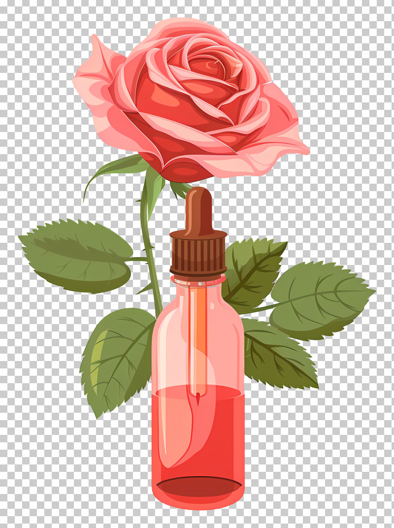 Rose Oil - Red Rose With Oil Dropper Bottle Illustration PNG, Clipart ...
