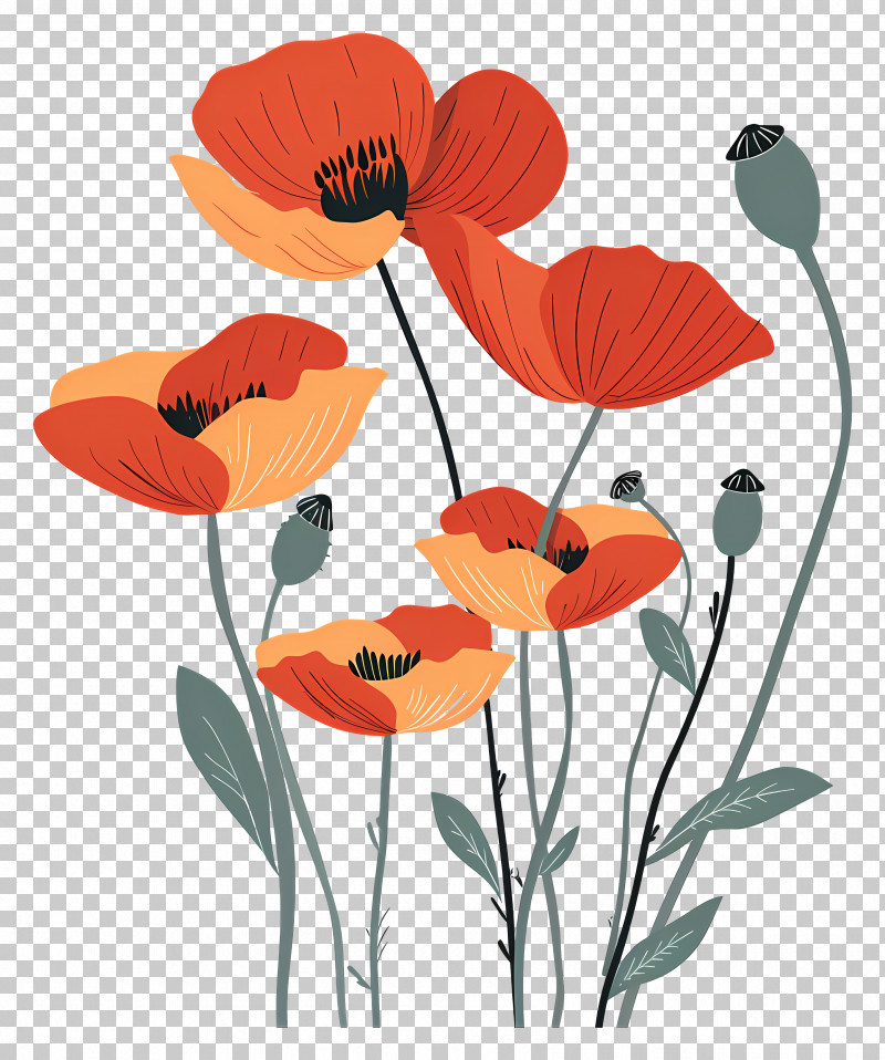 Poppies - Red And Orange Poppy Flowers Illustration PNG, Clipart ...