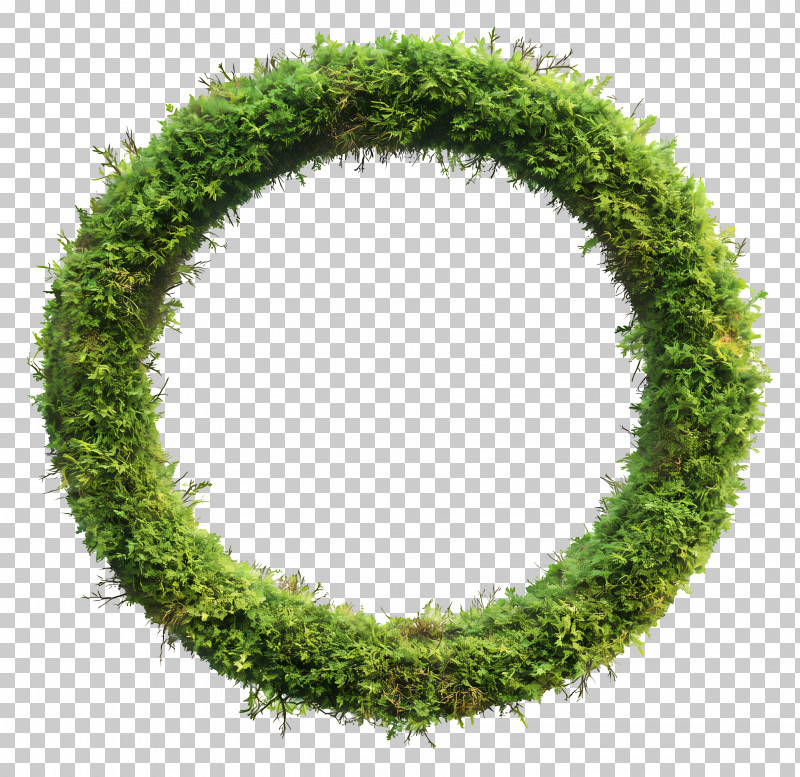 Green Circle Frame - Green Wreath Decoration PNG, Clipart, Botanical ...