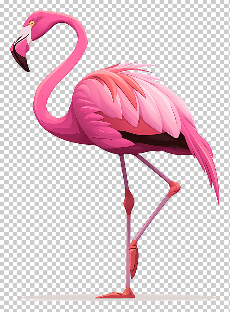 Cute Pink Flamingo - Graceful Pink Flamingo Standing PNG, Clipart, Cute ...