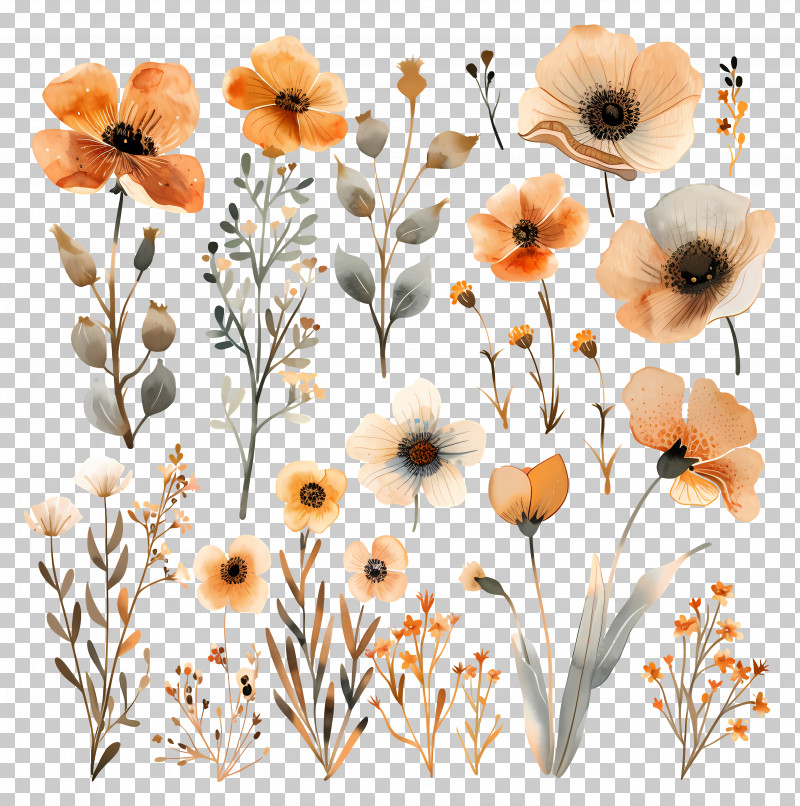 Dried Flowers - Watercolor Floral Collection In Earthy Tones PNG ...