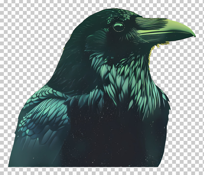 Raven - Majestic Raven Illustration PNG, Clipart, Animal Art, Beak ...
