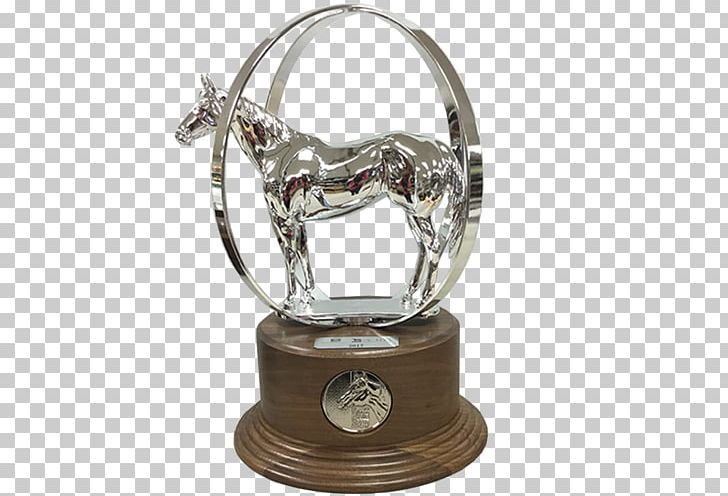 American Quarter Horse Association Trophy Aqha World Show Award ...