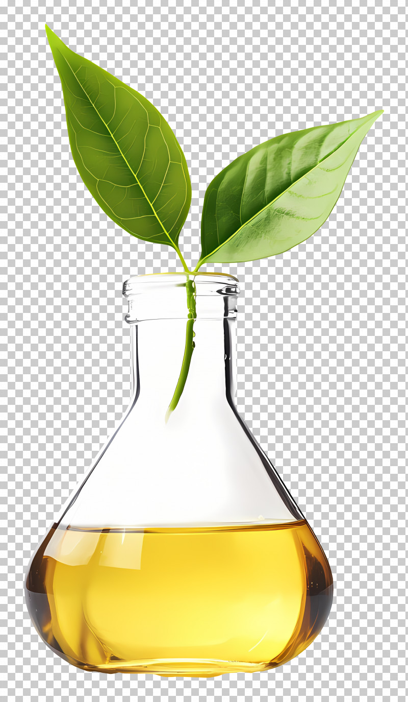 Plant In Flask - Plant Growing In Flask PNG, Clipart, Experiment ... Plant In Flask - Plant Growing In Flask PNG, Clipart, Experiment ...
