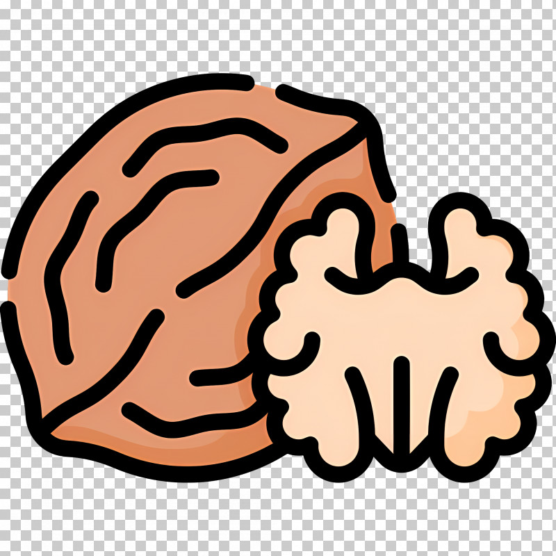 Walnut - Walnut Nut For Healthy Snack PNG, Clipart, Brain, Healthy, Nut ...