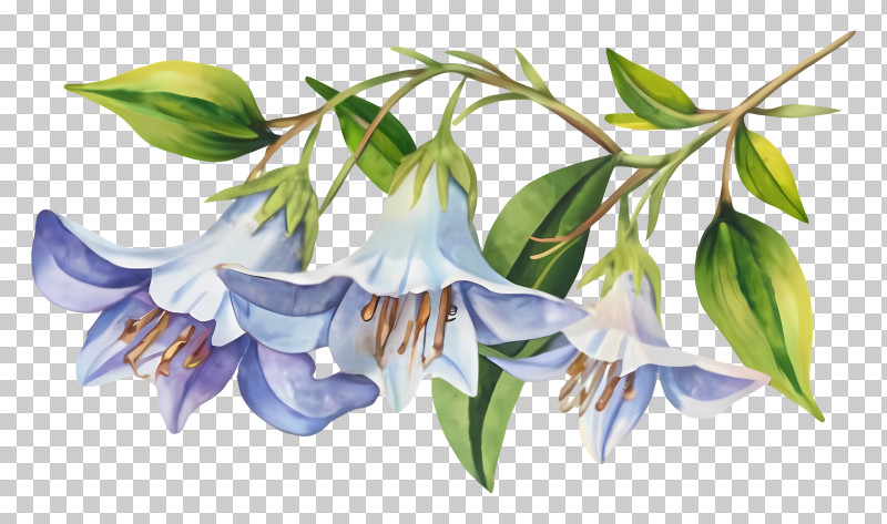 Cartoon - Elegant Blue Bell Flowers And Leaves Illustration PNG ...