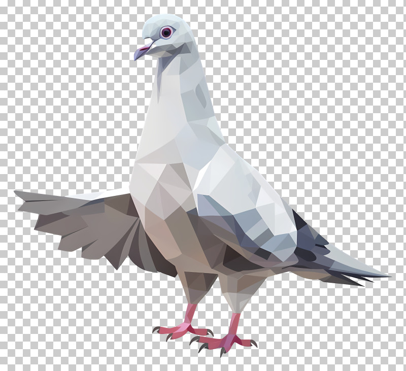 Dove - Polygonal White Pigeon Illustration PNG, Clipart, Abstract ...