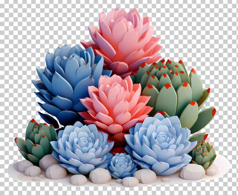 Realistic 3d Succulents - Beautiful Succulent Plants In Bloom PNG ...