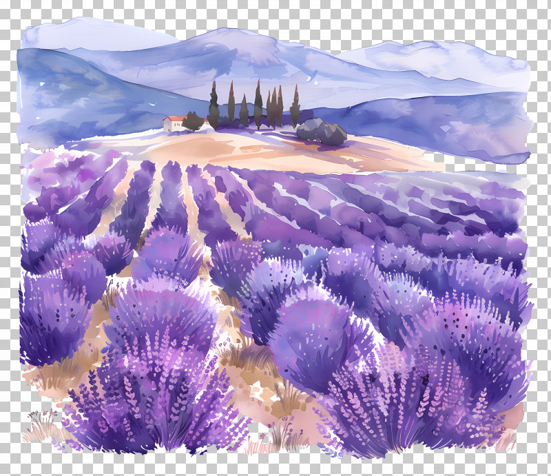 Lavender Field - Beautiful Lavender Field Landscape PNG, Clipart ...