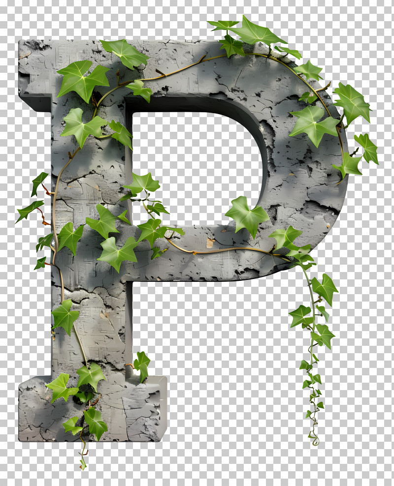 Letter P - Letter P With Ivy Vine Details PNG, Clipart, Alphabet And ...