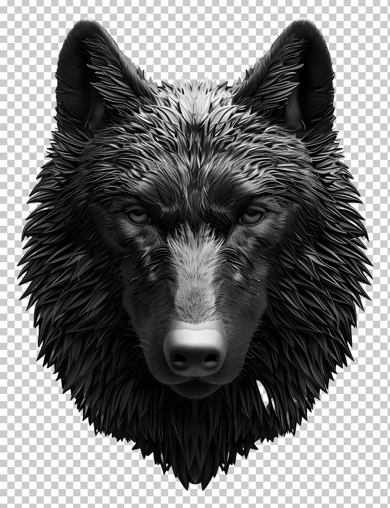Wolf Face - Realistic Wolf Head Illustration PNG, Clipart, Animal ... Wolf Face - Realistic Wolf Head Illustration PNG, Clipart, Animal ...