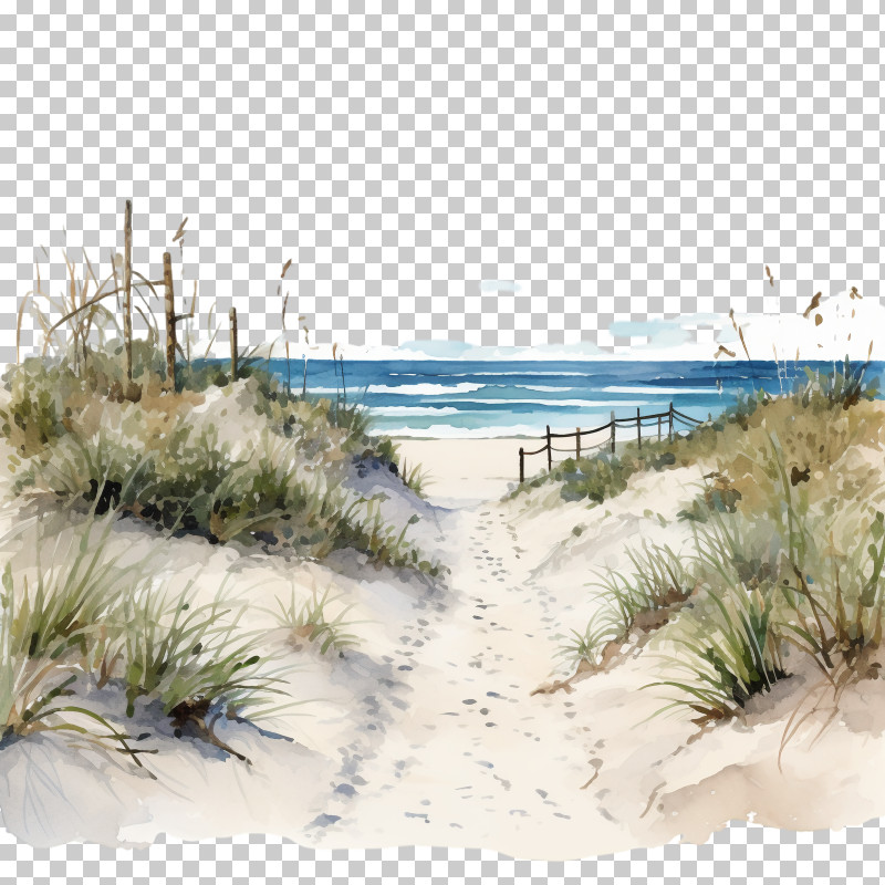 Beach Walking Road - Sandy Beach Path To The Ocean PNG, Clipart, Beach ...