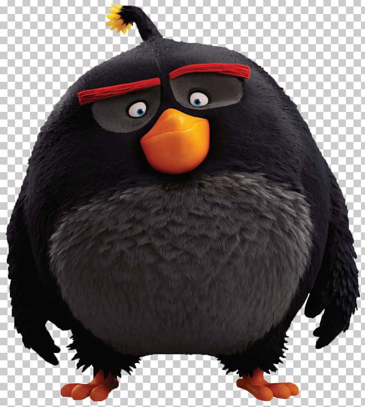 Angry Birds Epic Photog Eva The Birthday Mom Mighty Eagle Film PNG ...