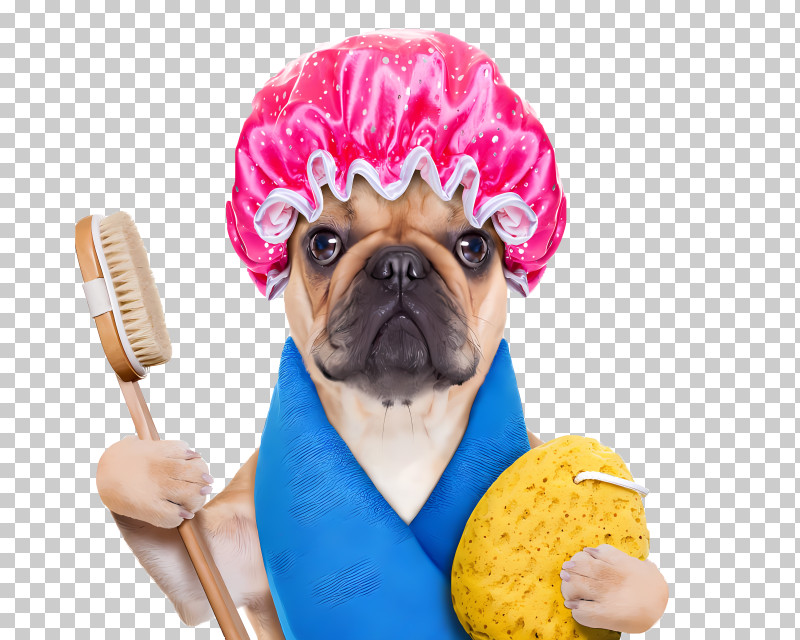 Dog - Adorable Dog Ready For Bath PNG, Clipart, Bath Time, Brush, Clean ...