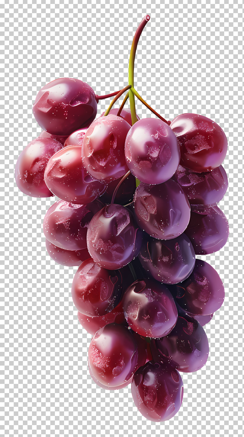 Red Grapes - Realistic Illustration Of Red Grapes PNG, Clipart, Autumn Harvest, Bunch, Edible ...