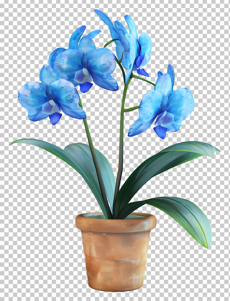 Blue Orchid - Blue Orchid In A Pot PNG, Clipart, Bloom, Blue Orchid ...