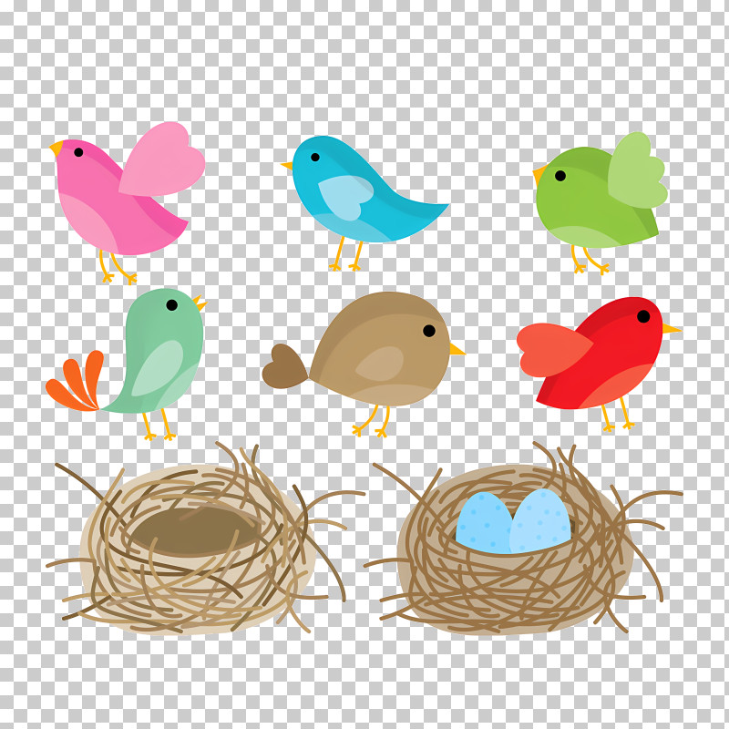 Birds - Cute Colorful Birds With Nests And Eggs Cartoon Illustration ...