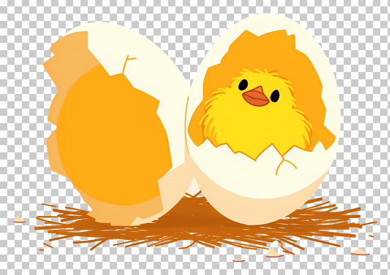 Hatching Eggs - Chick Hatching From Egg PNG, Clipart, Birth, Chick In ...
