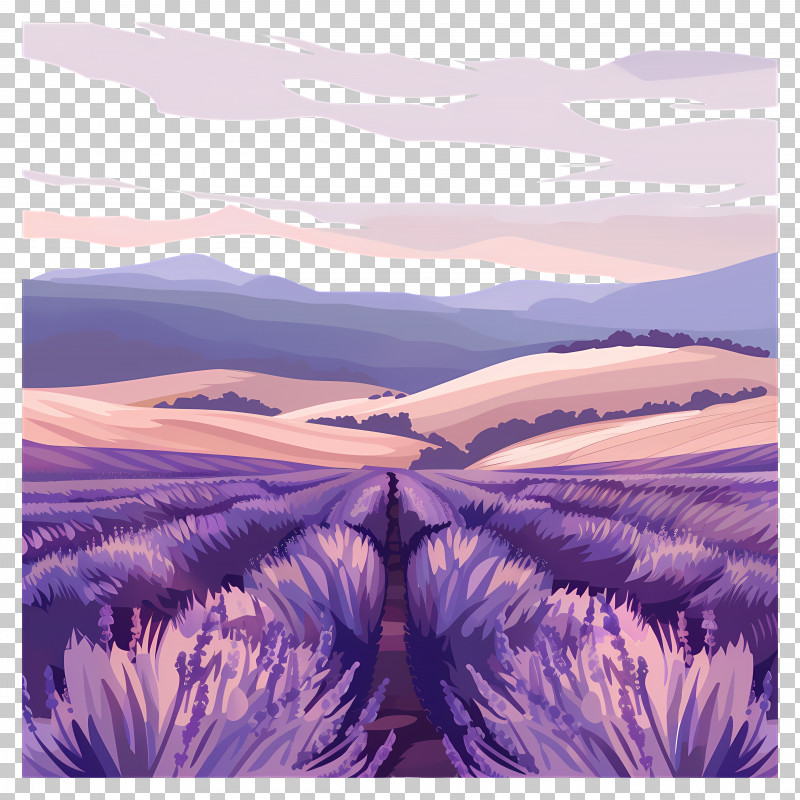 Lavender Fields - Scenic Lavender Field In The Countryside PNG, Clipart ...