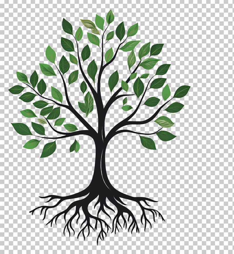 Tree With Roots - Tree With Roots And Leaves PNG, Clipart, Botanical ...