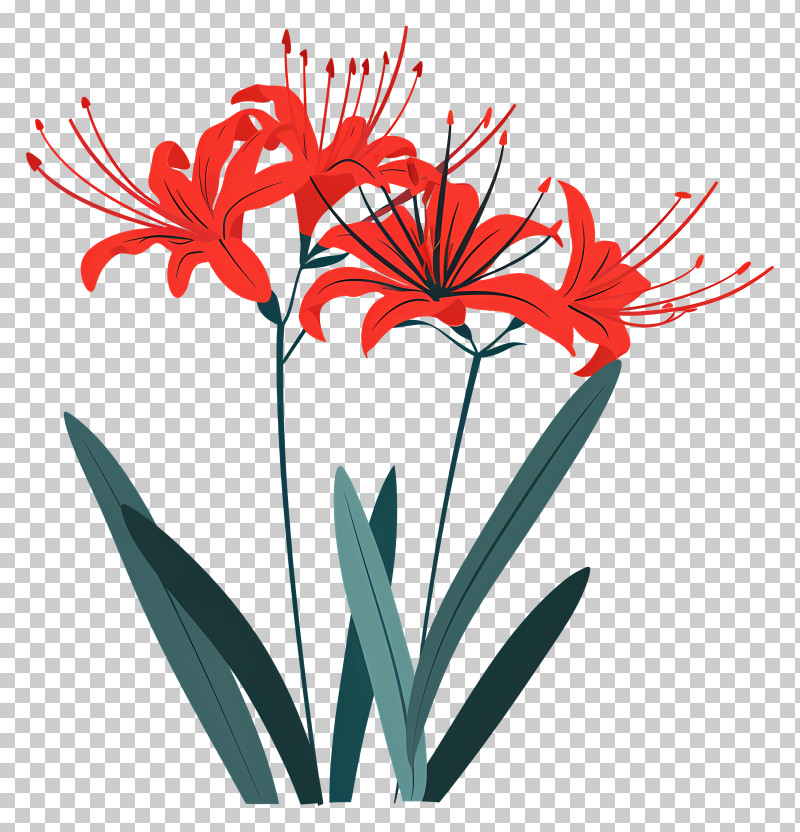 Red Spider Lily - Red Spider Lilies Illustration PNG, Clipart, Autumn ...