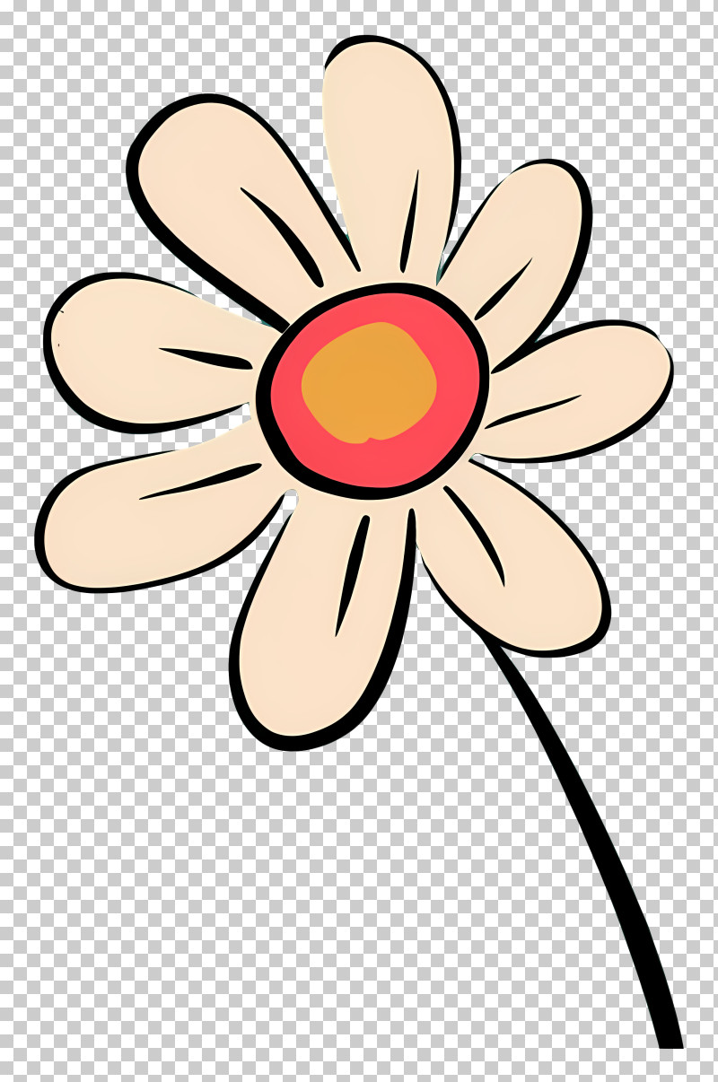 Daisy Flower - Simple Daisy Flower Cartoon Drawing PNG, Clipart ...