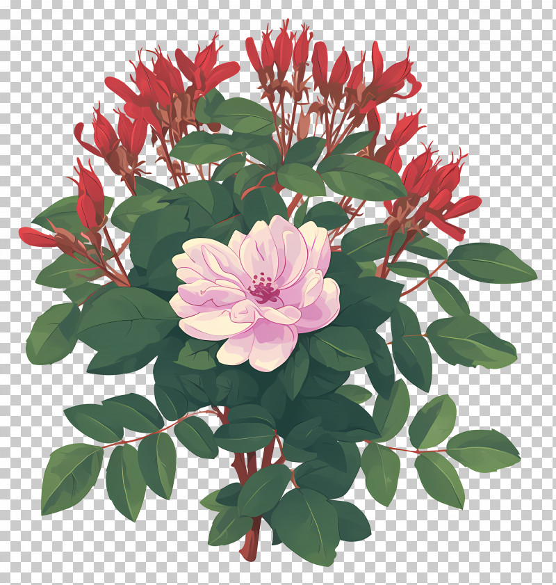 Flower Bush - Beautiful Flower Bouquet Illustration PNG, Clipart ...