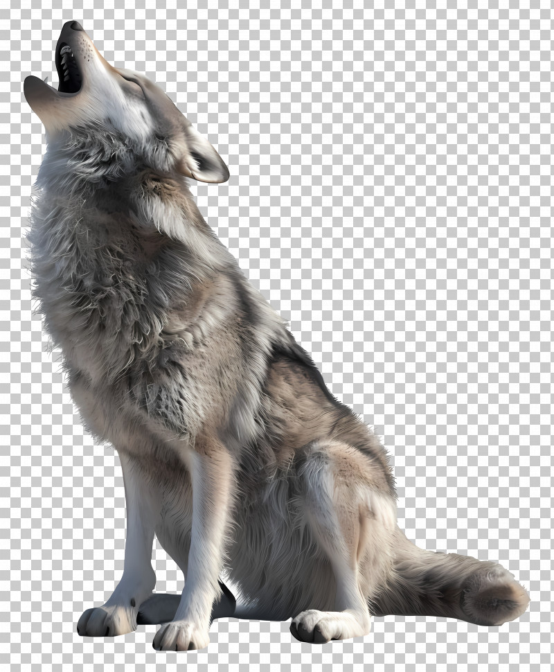 Wolf Howling - Howling Wolf In The Wild PNG, Clipart, Animal Instinct ...
