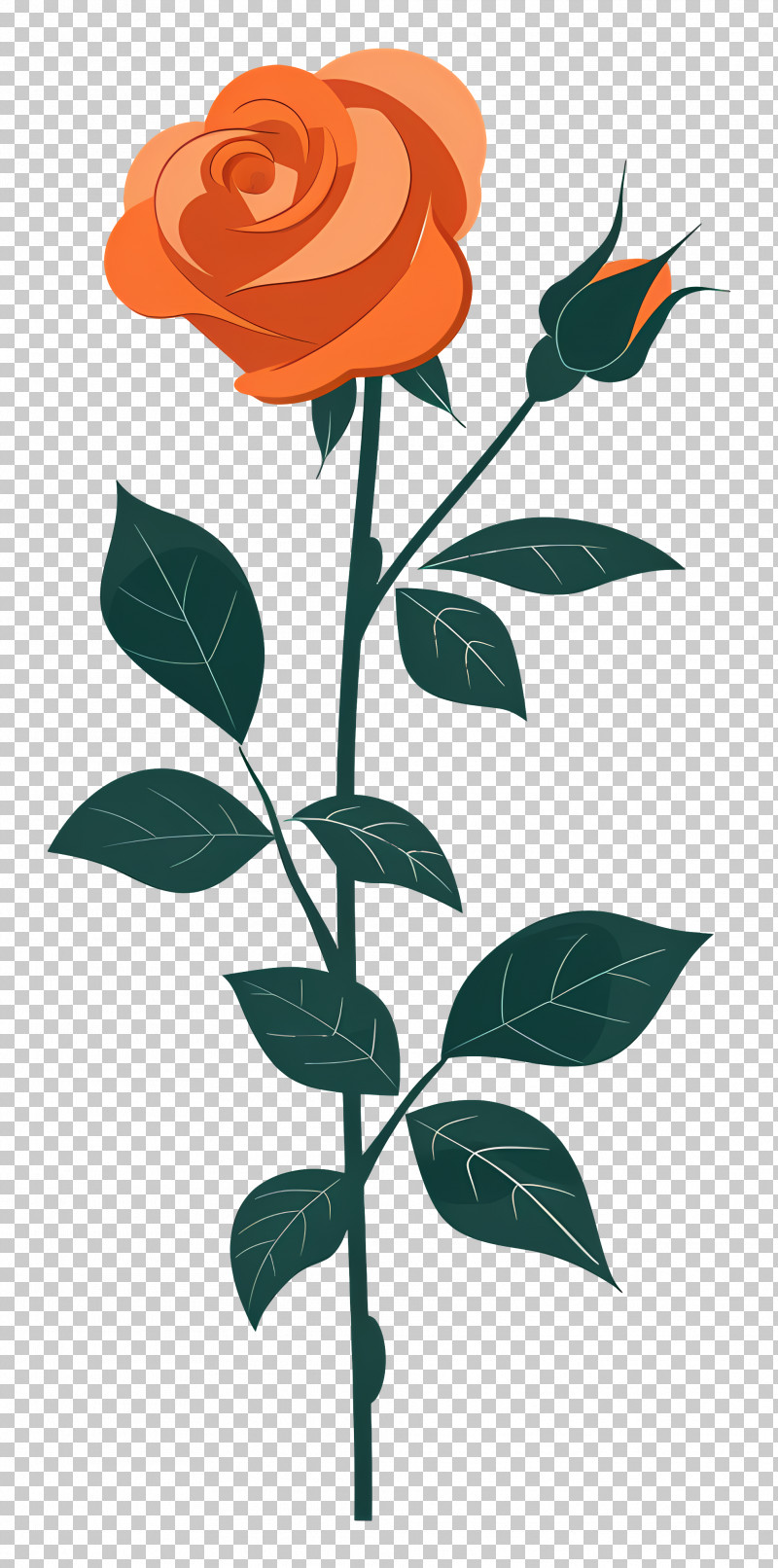 Single Rose - Detailed Red Rose With Stem Illustration PNG, Clipart ...