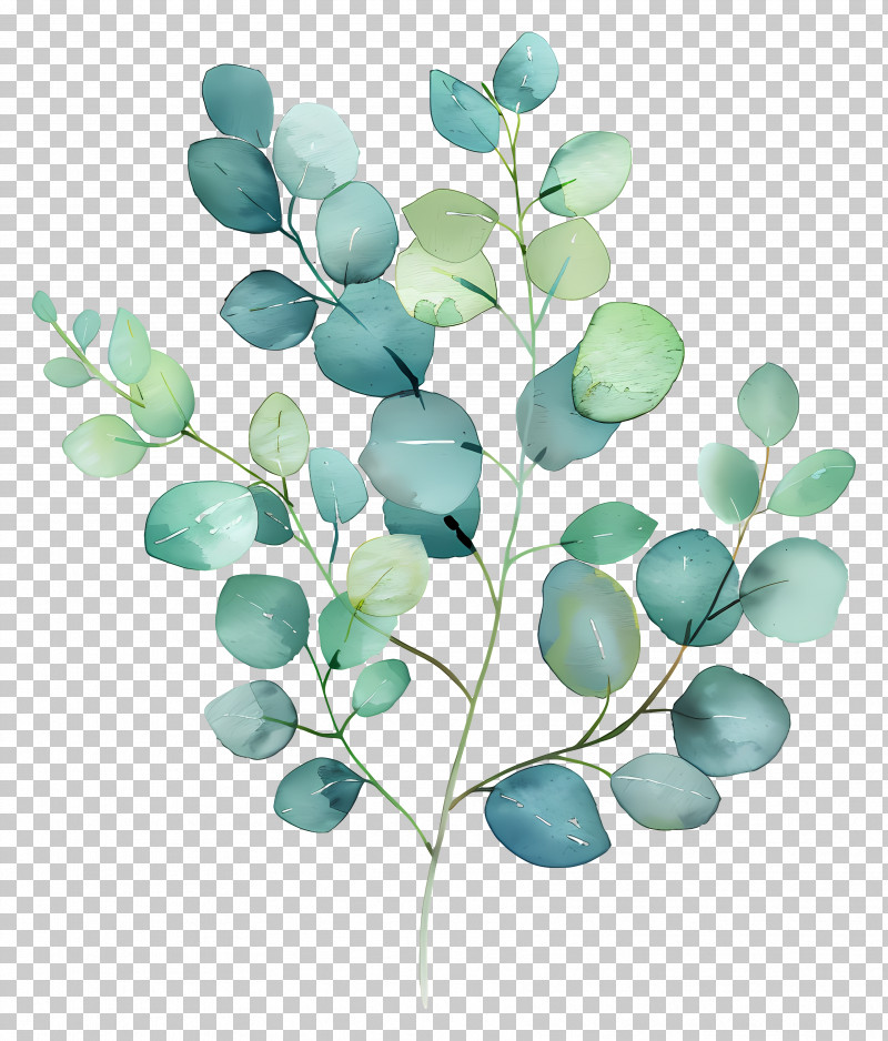 Eucalyptus Branch - Watercolor Eucalyptus Leaves Art PNG, Clipart ...