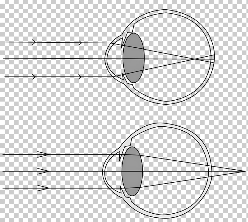 Eye Exam - Eye Diagram Showing Vision Pathways PNG, Clipart, Anatomical Eye, Anatomy, Concept Of ...